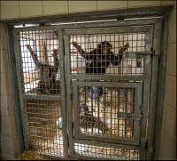 World Protest : On May 24, empty the tanks - GAP Project