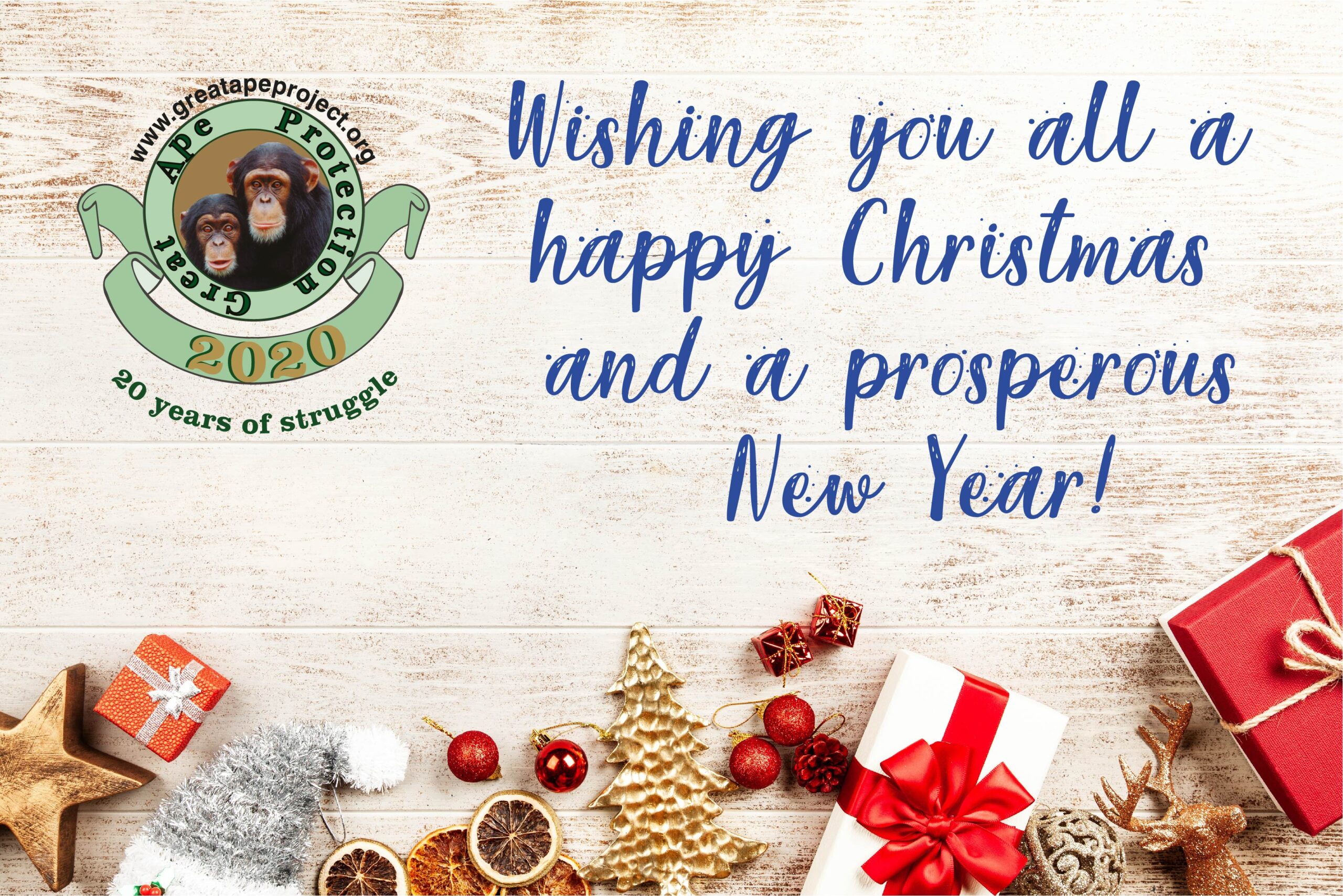 Happy Christmas and a lots of success in 2020 - GAP Project