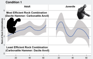Today marks 64 years of the first chimpanzee in space - GAP Project
